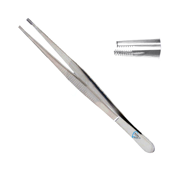 Brown Tissue Forceps - Javeria International