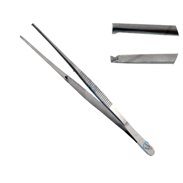 Semken Tissue Forceps - Javeria International