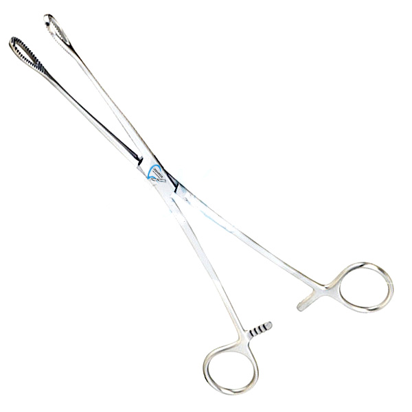 Uterine Dressing Forceps Straight - Javeria International