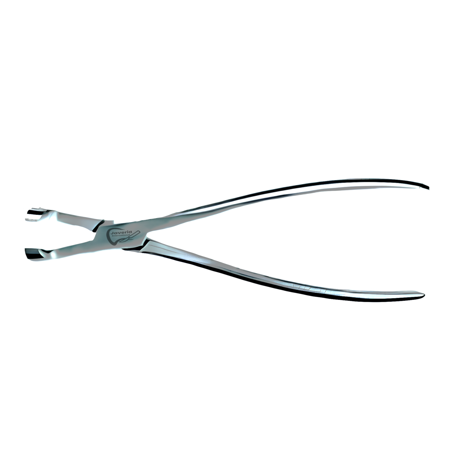 Equine Molar Forceps - Javeria International