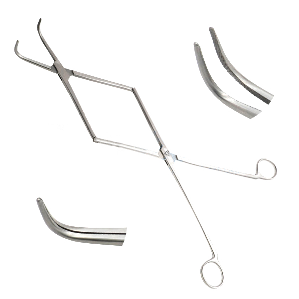 Equine Root Fragment Forceps, Double Action, 90° Angle - Javeria ...