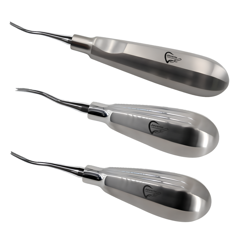 Feline Surgical Elevator - Javeria International