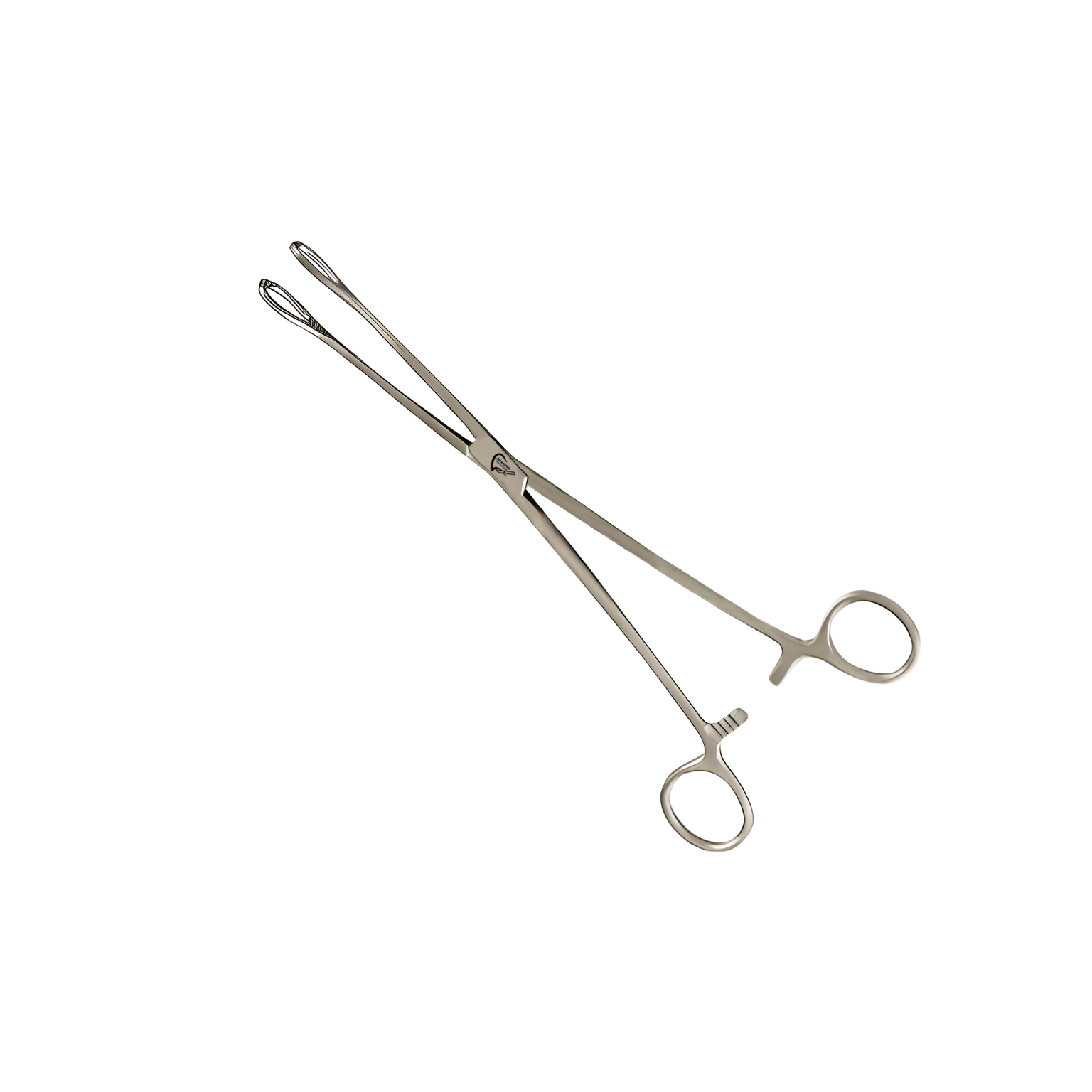 Foerster Sponge Forceps Straight 8" Smooth Jaws - Javeria International