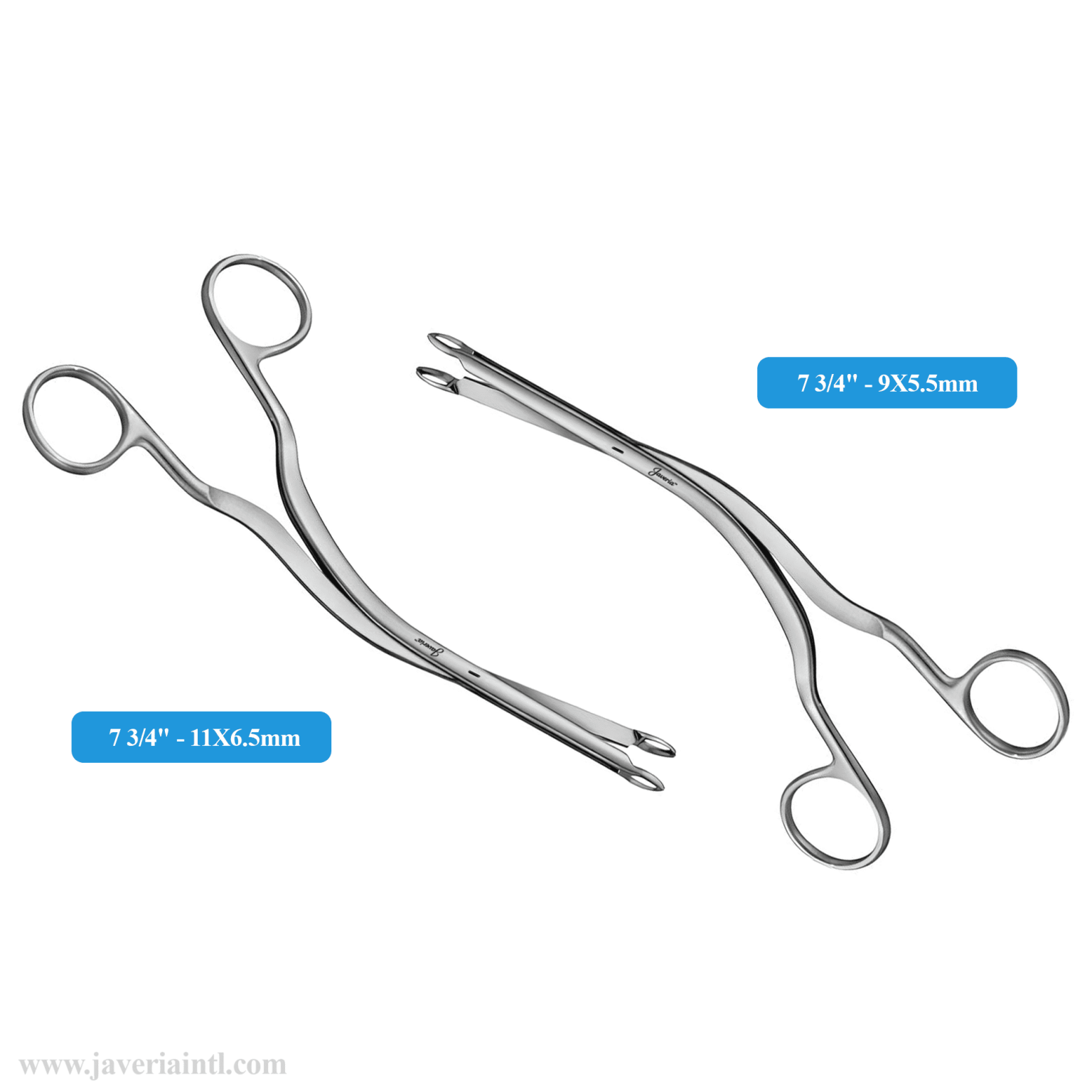 Luc Septum Forceps - Javeria International